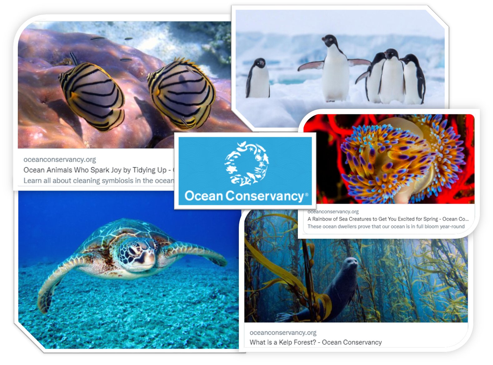LS Power Supports Ocean Conservancy for Earth Day - LS Power